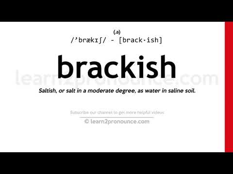 Pronunciation of Brackish | Definition of Brackish