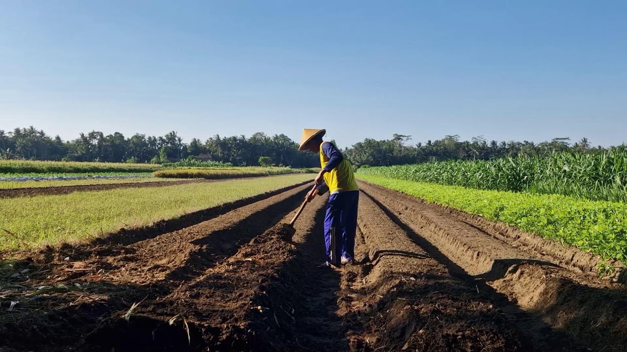 Farm Hack: Digging Soil Made Easy with This Simple Homemade Tool! -Agriculture Farming