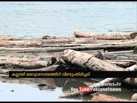 Kallayi Timber industry facing shutdown threat in Kerala