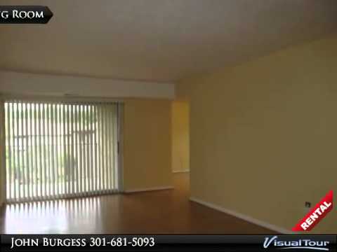 8009 Mandan Road #301