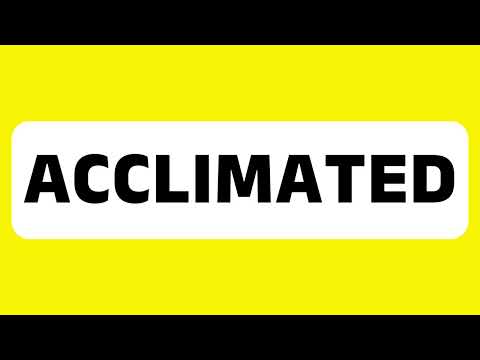 How to Pronounce Acclimated (Adjusted to new conditions) Correctly