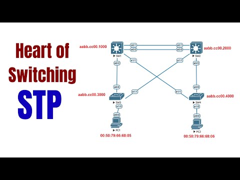 Heart of Switching | STP Protocol Full Course by Praphul Mishra