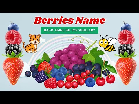 Berries Name in English with Picture - Different Types of Berries - Berry Fruit - Berry by Moko Loko