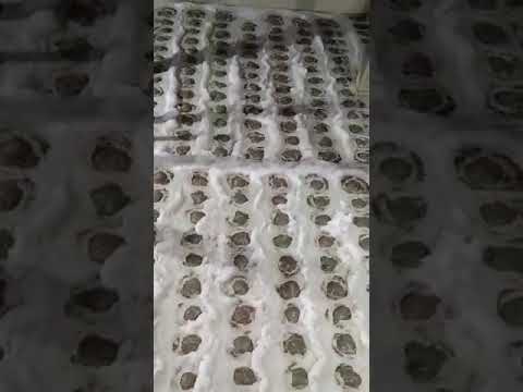 Fine Bubble Disc Diffuser - AIRTECH 9" DISC DIFFUSER WITH EPDM+PTFE ...