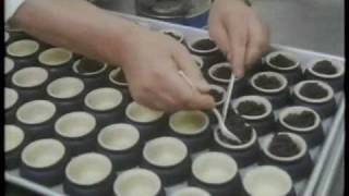 Alan Whicker dead: Watch broadcast legend interview Haiti dictator Papa ...