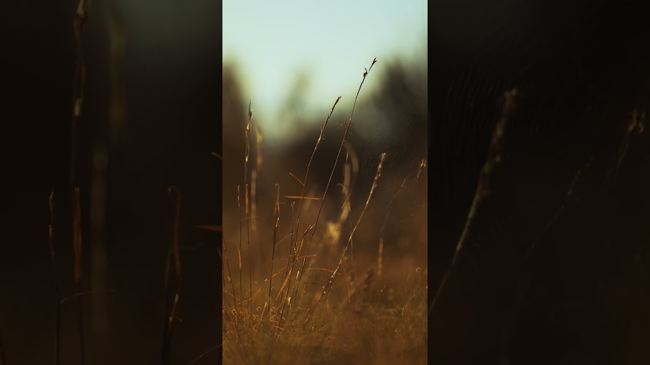 Scroll break brought to you by Wilderluxe Lake Keepit