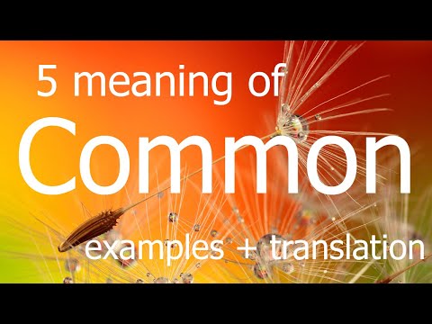 Common meaning | 5 meaning of common as a noun and adjective with example sentences and translation