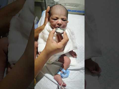 Paladai feeding! #newborn #shorts