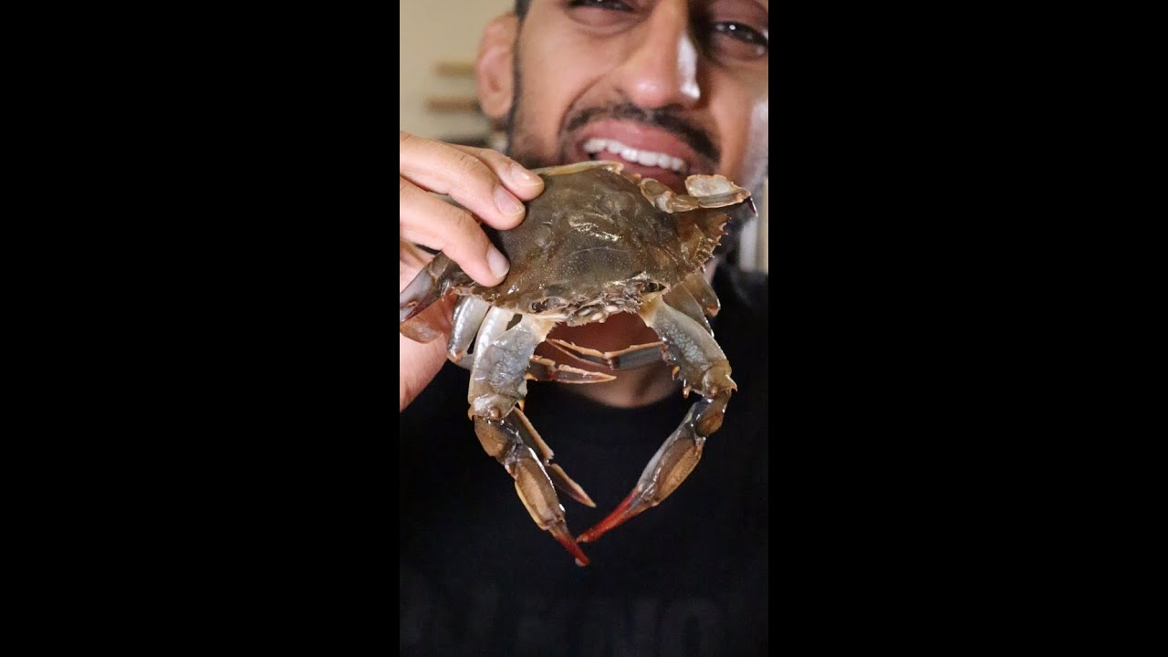 Let's BBQ Soft Shell Crab
