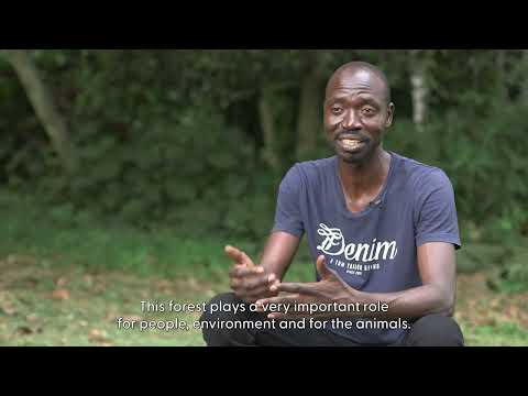 Journey of tropical wood | certification director