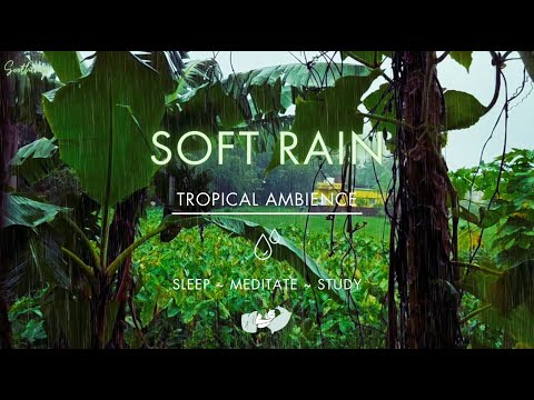 Soft Rain On Leaves | NO MIDROLL ADS | Soothing Gentle Rain Sounds For Sleepingπ§