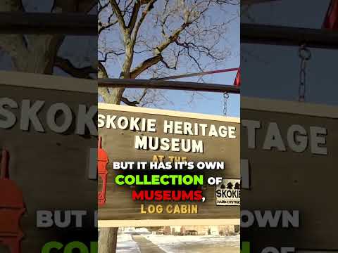 Skokie Illinois 🏡 Most Diverse Chicago Suburbs #Shorts