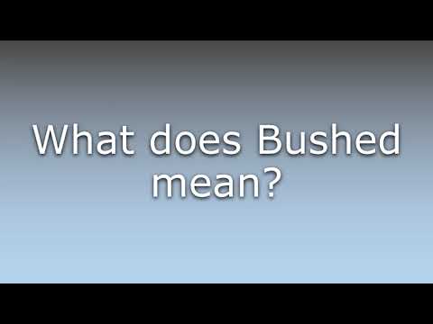 What does Bushed mean?