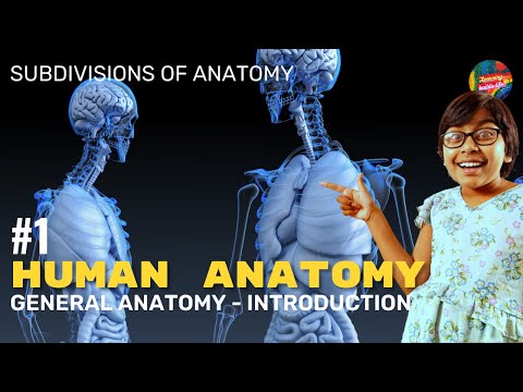 Ep1 - Different types of Anatomy, Subdivisions of anatomy, Human Anatomy Introduction