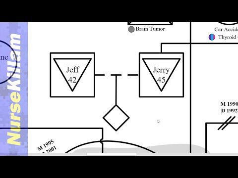Genograms in Visio Part 3: Connections, Relationships, Children and Households.