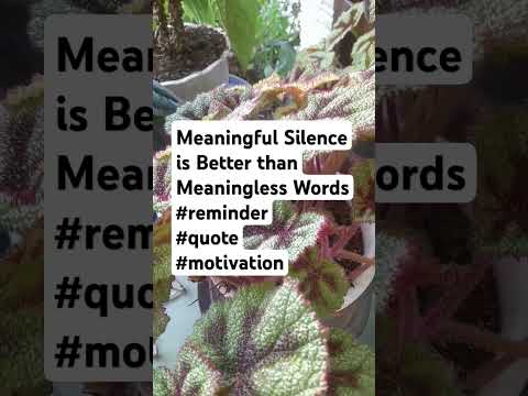 meaningful silence is better than meaningless words #quote #motivation #reminder