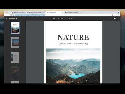 5. Setting up Automatic iFrame or Automatic Link in PDF Viewer for WordPress
