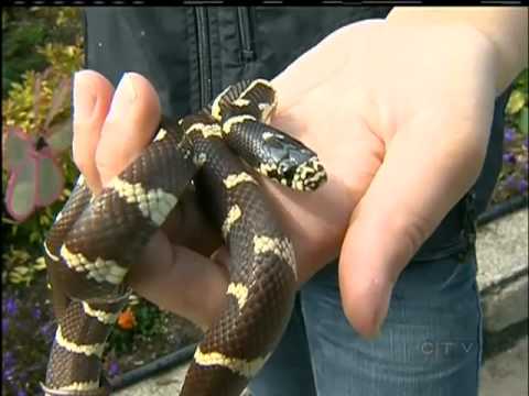 Your Island News: July 23, 2012