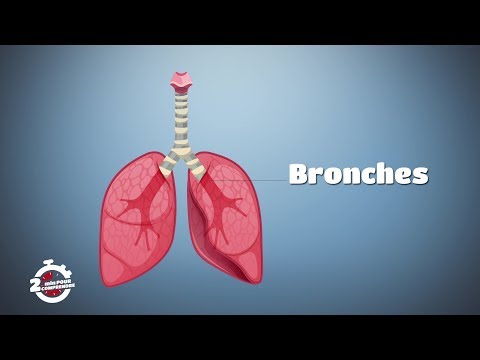 2mn pour comprendre LE CANCER DU POUMON du Lundi 02 Mars 2020