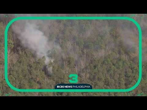 NJ Forest Fire Service battling wildfire in Burlington County