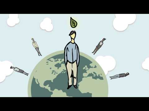 What is a LEED professional credential?