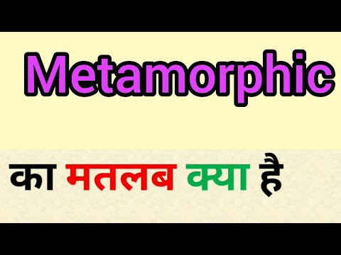 Metamorphic meaning in hindi || metamorphic ka matlab kya hota hai || word meaning english to hindi