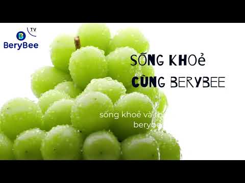 BeryBee - Trái Cây Nhập Khẩu