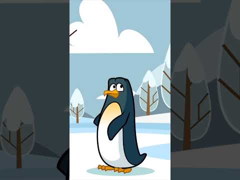 What you need to know about penguins ( part 1)