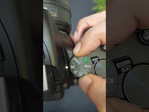 Camera settings to blur background in dslr #shorts #dslr #camera