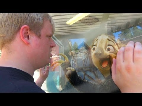 Race Visits the Zoo[Topia]