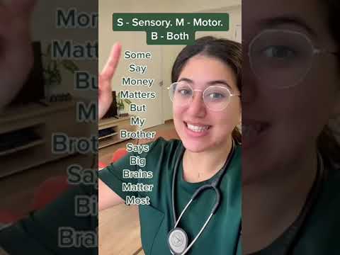 Cranial Nerves HACK - Easy Mnemonic!