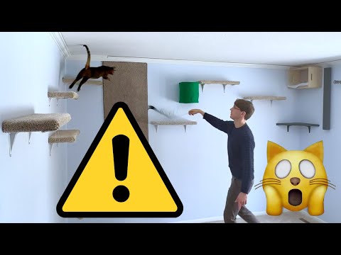 Don't Build A Cat Wall Like This