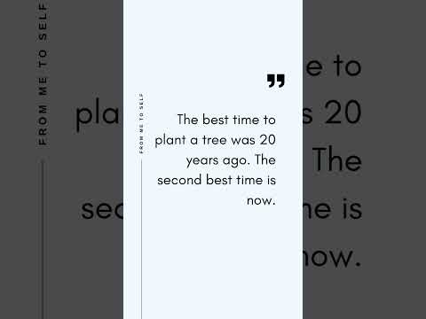 "The best time to plant a tree was 20 years ago The second best time is now."