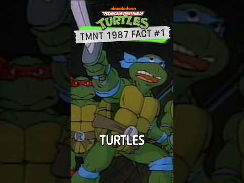 5 Facts About TMNT You DIDN'T Know! | #TeenageMutantNinjaTurtles #TMNT #Shorts