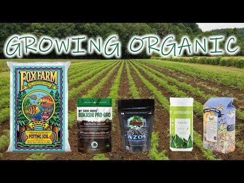 GROWING ORGANIC