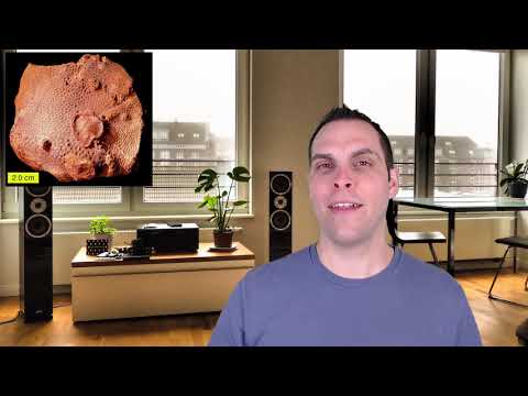 Fossil Record