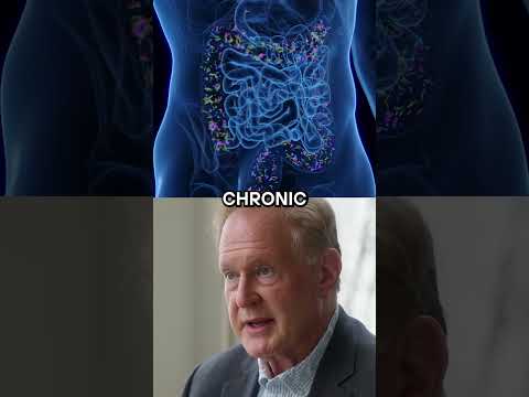 What Are Anti-Inflammatory Foods and Why Are They Crucial for Health? | Dr. Robert Lustig