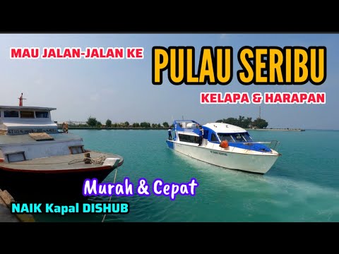 PULAU SERIBU‼️MURAH HANYA RP. 61 RIBU • PULAU KELAPA & HARAPAN • PALING INDAH UNTUK SNORKELING