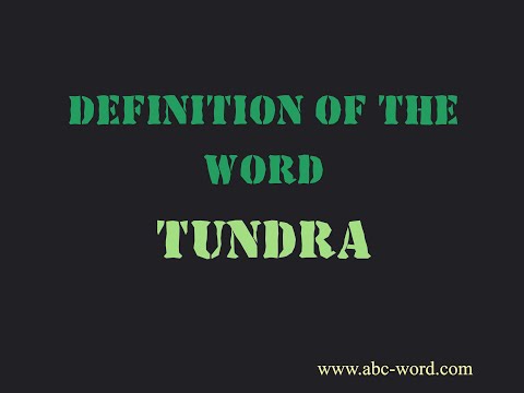 Definition of the word "Tundra"