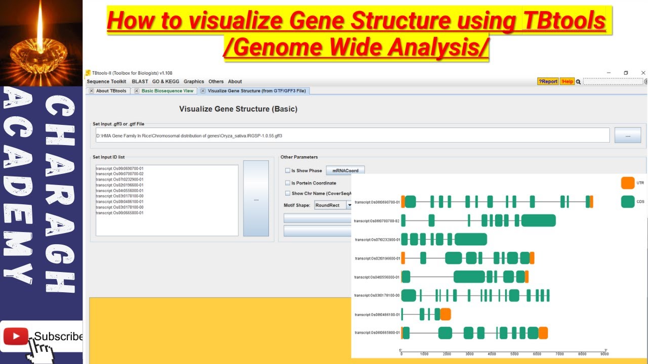How to visualize Gene Structure using TBtools /Genome Wide Analysis/