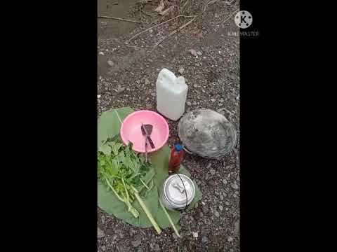 Masak Daun Pepaya dengan Minyak Buah Merah (Suku Arfak) - Martina Ullo