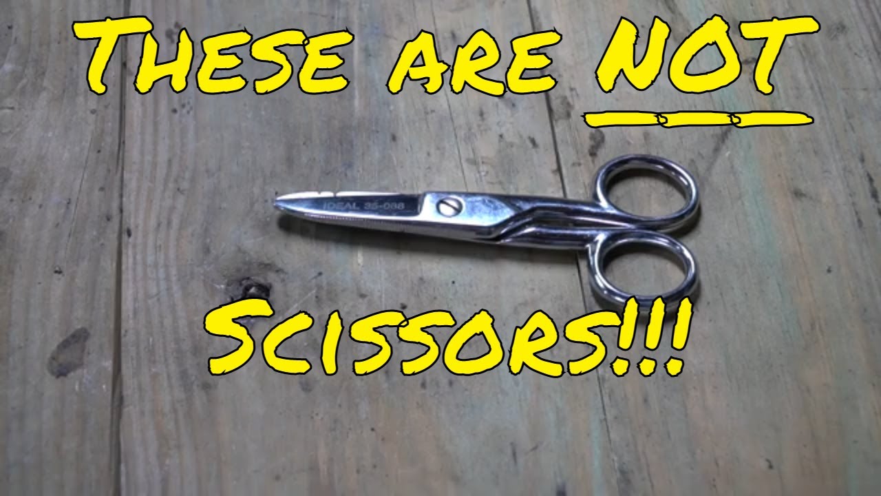Snips, Lineman's Snips, Electricians Snips, but not Scissors!  One of my most useful tools! NTDT