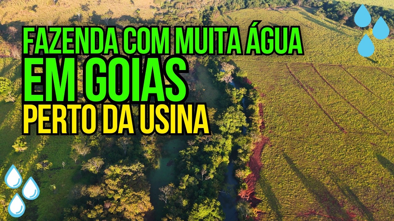 The best farm in Massapé, Goiás, is for sale, rich in water.