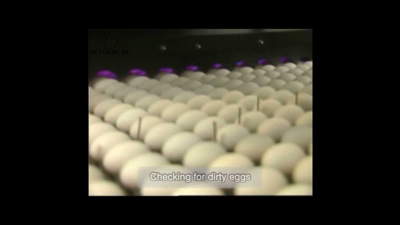 Delivering Safe and Hygienic ISE Eggs