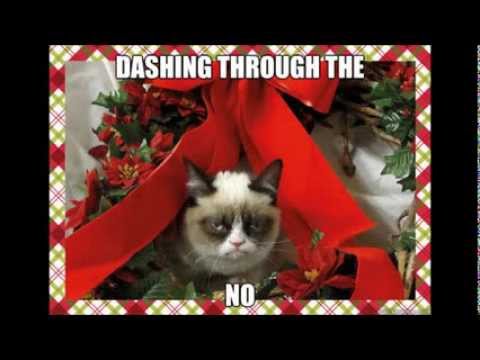 Grumpy Cat Christmas Memes With Xmas Music