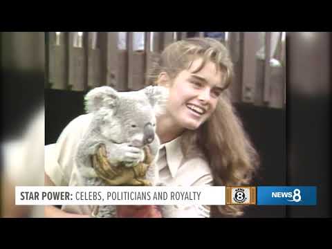 News 8 Throwback Special 2020