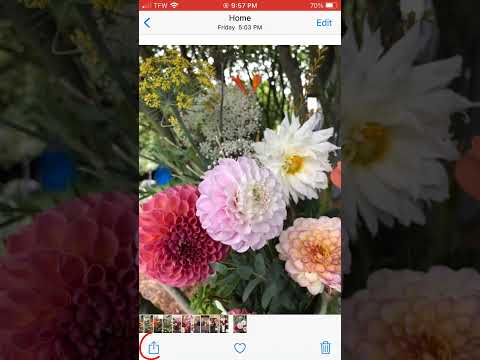 How To Send Photos From Your Cell Phone