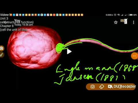 Bacterial Appendages Made Easy