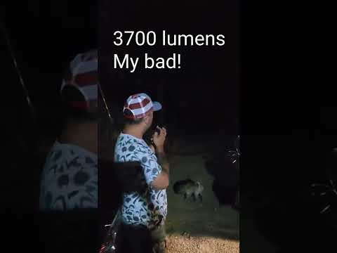 3700 lumen flashlight. is it really that good? #shorts