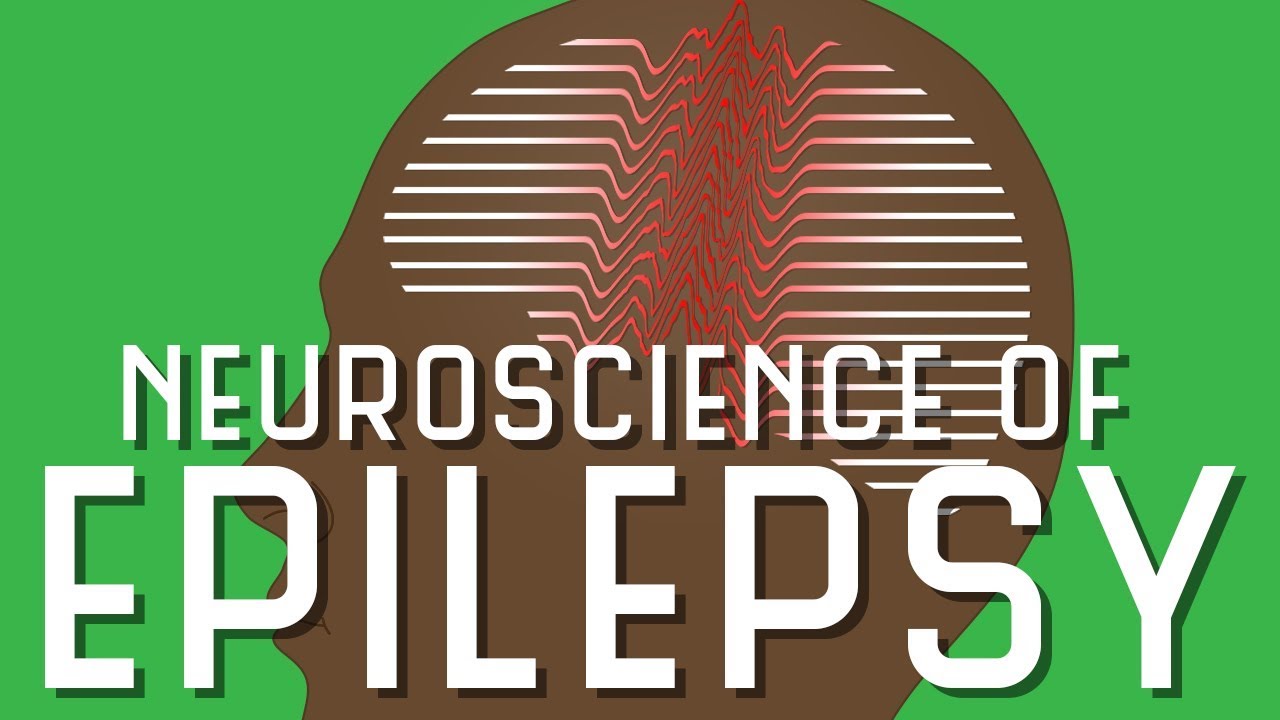 Neuroscience of Epilepsy